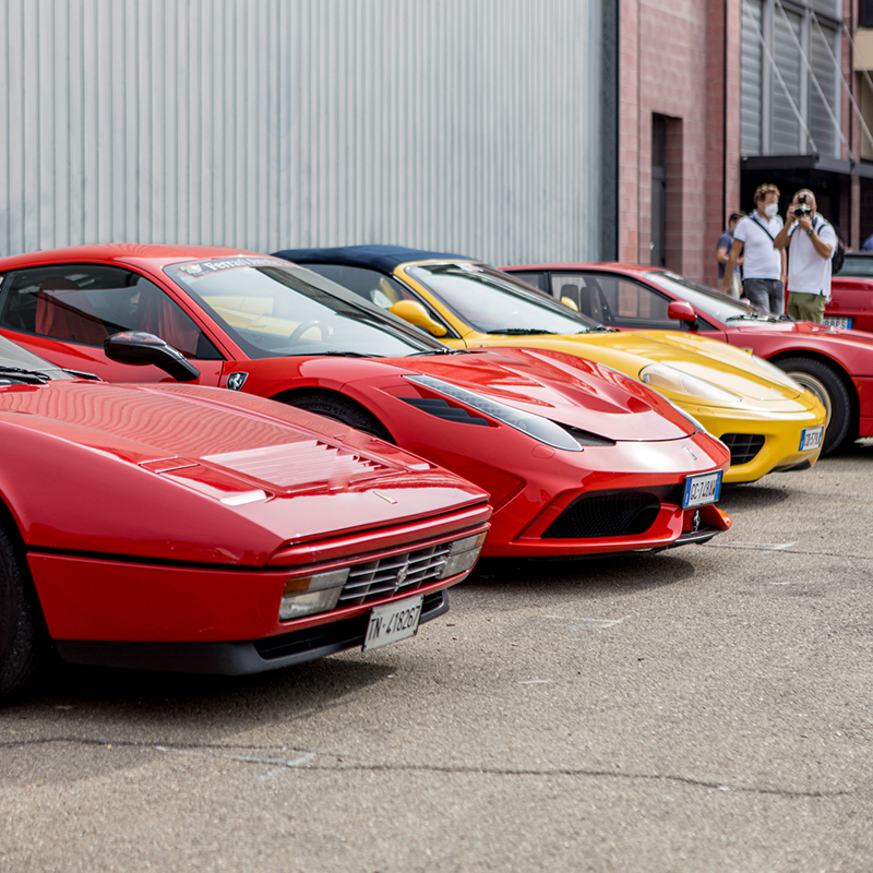 Home - Motor Gallery